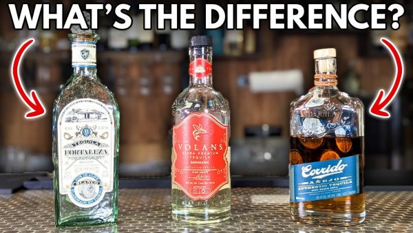 Blanco vs. Reposado Tequila: Key Differences Explained